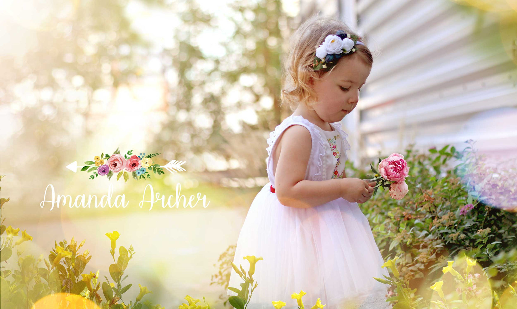 Amanda Archer Collection